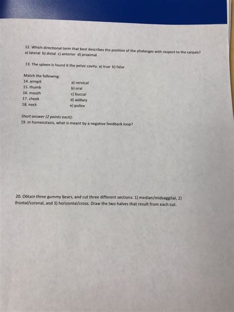 Solved Coloring And Questions For Lab Name Date Worksheet Chegg Com