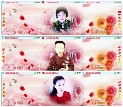 迎宾V壹诺 柳绿花红四月天大型综艺晚会 VV