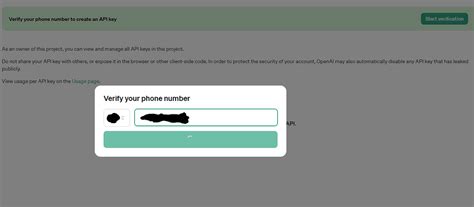 Unable To Complete Verification To Create An Api Key To Access The