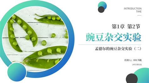 生物豌豆杂交实验2PPT课件 HR下载网