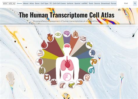 The Human Transcriptome Cell Atlas Roman Tremmel