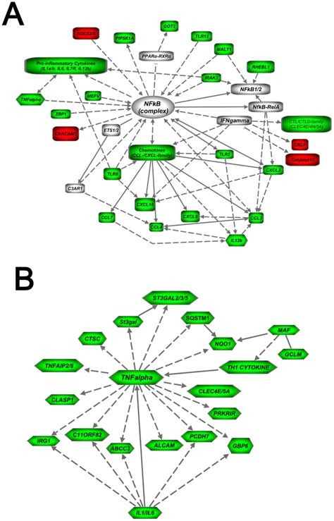 Pathway Based Analysis A B Microarray Expression Analysis