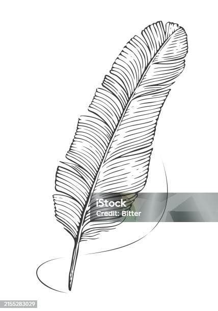 빈티지 깃펜 깃털 잉크 필기 펜 작가와시의 상징 손으로 그린 라인 아트 그리기 스타일 골동품에 대한 스톡 벡터 아트 및 기타 이미지 Istock