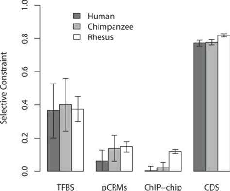 Estimates Of Selective Constraint At Tfbss Pcrms And Chip Chip