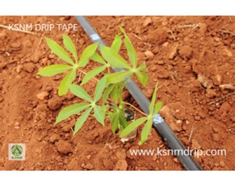 Drip Tape Fittings 9 Lph Drip Irrigation Tape Manufacturer From