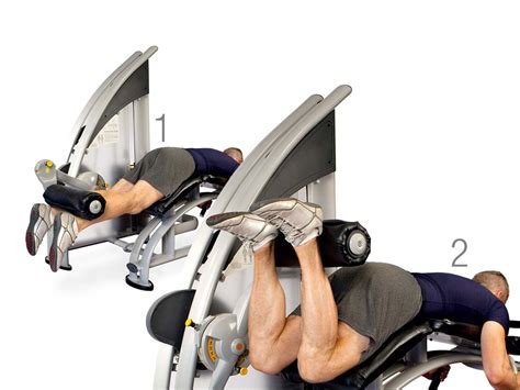 How To Safely Use The Leg Press Leg Curl And Leg Extension Machine Anytime Fitness