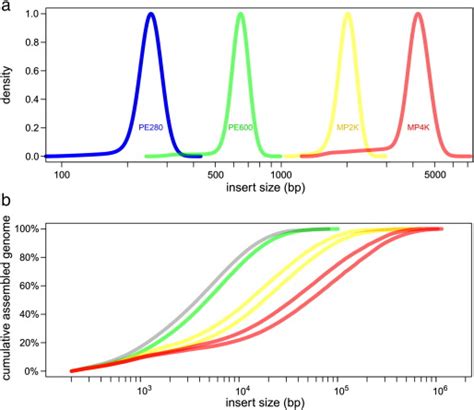 Input And Output Of The Scaffolding Process Download Scientific Diagram