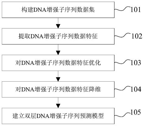 Method For Identifying Dna Enhancer Element Based On Sequence Frequency