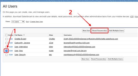 How To Reset A Salesforce Users Password Screenshots