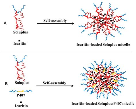 Enhanced Oral Absorption Of Icaritin By Using Mixed Polymeric Micelles Prepared With A Creative
