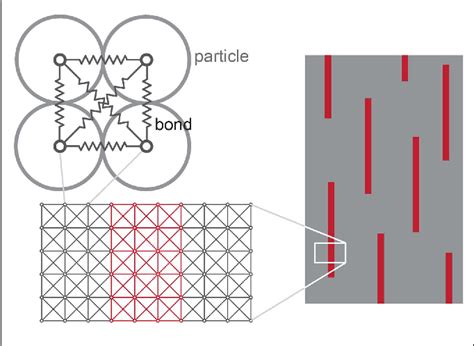 Figure 1 From A Hierarchical Lattice Spring Model To Simulate The