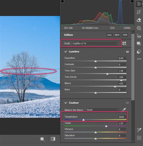 Camera Raw La Différence Majeure Entre Filtre Et Module Les Tutos