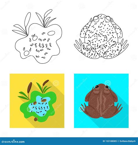 Vector Illustration Of Wildlife And Bog Sign Set Of Wildlife And