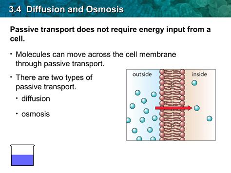Ch 4 Diffusion And Osmosis By Hamdy Karim Ppt Chemistry Science