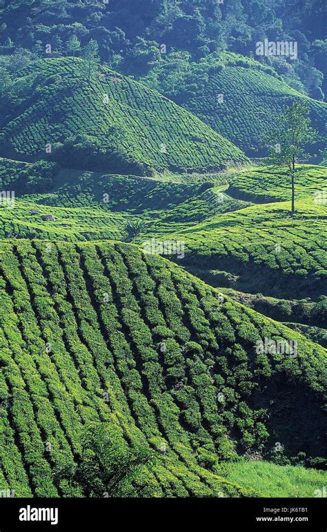 Ubersicht Asien Fotos Und Bildmaterial In Hoher Auflösung Alamy