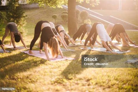 도시 공원에서 요가 소녀는 포즈 아도 무카 Shvanasana에서 스트레칭 운동 강아지 자세에 대한 스톡 사진 및 기타 이미지 강아지 자세 공원 요가 Istock
