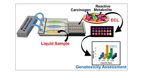 Automated 3 D Printed Arrays To Evaluate Genotoxic Chemistry E Cigarettes And Water Samples
