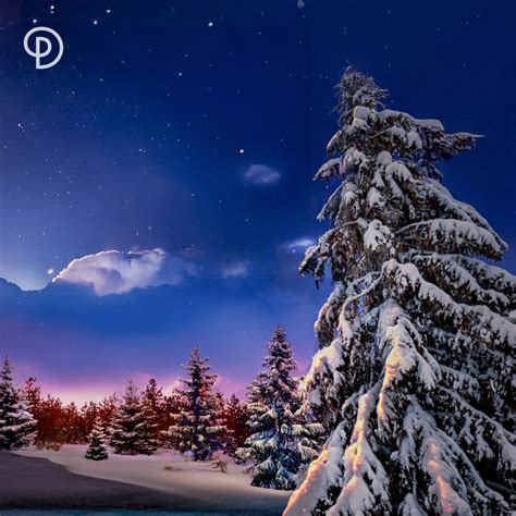 Paradise Group 파라다이스 그룹 ⠀ 파라人스타 𝑬𝒑 𝟗 ⠀ 사람을 향한 따뜻한 마음으로 희망의 손길을 전하는 파라다이스 복지재단의 ‘소셜 컨트리뷰터