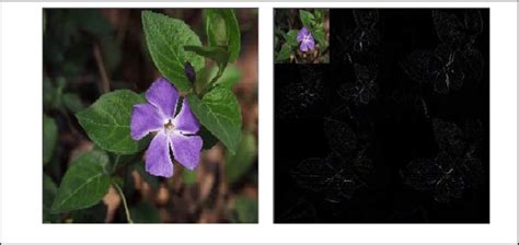 Show The Color Image And The Final Image After Doing Multiwavelet Download Scientific Diagram