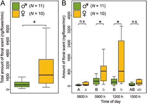 A Comparison Of The Total Amount Of Floral Scent Emitted By Male And Download Scientific