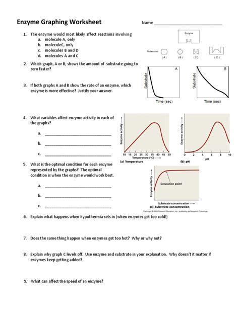 Unit Enzyme Worksheet PDF Worksheets Library