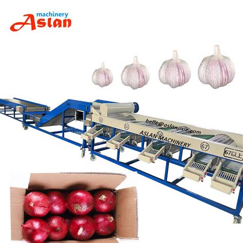 Garlic Onion Sorting Machine Garlic Bulb Grading Machine Potato Onion