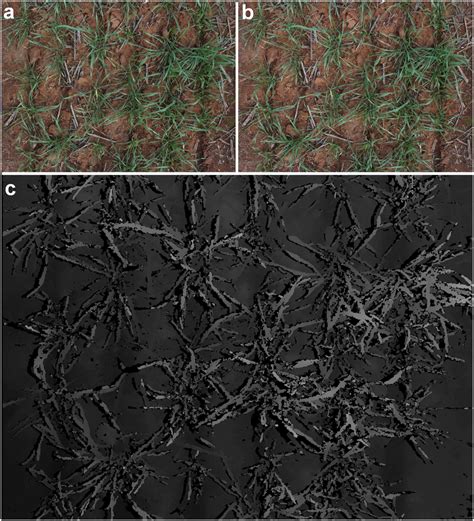 Image Rectification And Depth Map Top A Stereo Image Pair Taken Of Download Scientific