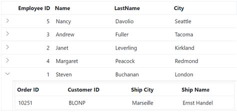 Hierarchy Grid In Syncfusion Asp Net Core Grid Component