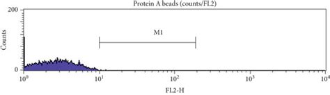 a ssc versus fsc dot plot of the unlabeled protein a beads showing