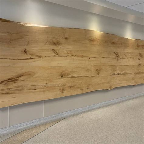 Michelle Hoad Cae Fis Pts Posted On Linkedin