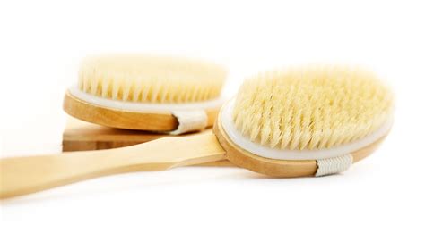 Organic Roots » Media natural-bristle-dry-brush - Organic Roots