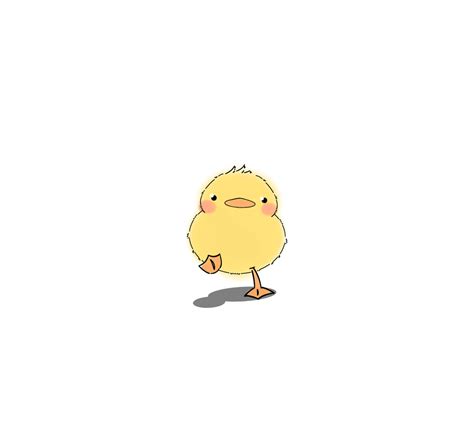 Cute Duck  At Brianna Fornachon Blog