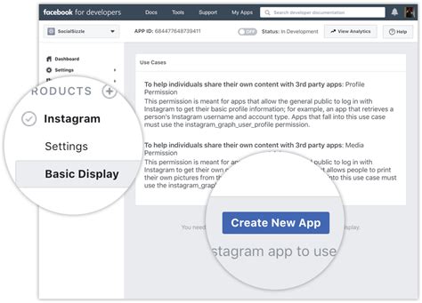 tutorial use instagram basic display api with javascript