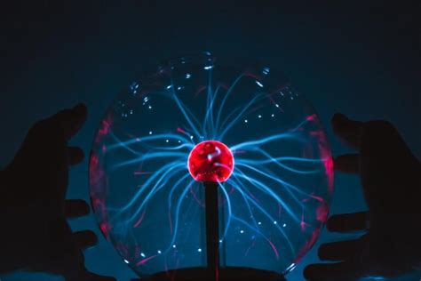 Difference Between Haploid Cell And Diploid Evidence Network