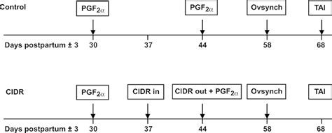 Presynchronization And Ovulation Synchronization Protocols For Cows Download Scientific Diagram