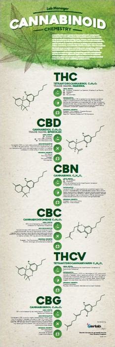 Cannabinoid Chemistry Lab Manager