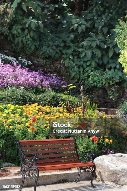 Park Çiçek Renkli Görüntü Arka Planda Bahçe Tezgah Yüksek Çözünürlüklü Görüntü Galerisi Stok