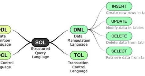 Dml Statements Retrieving Data Dbms Tutorial 7 Bloglearner