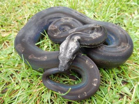 Exosomatic Memory Photo