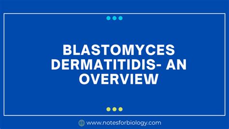 Biochemical Test Of Mycobacterium Tuberculosis