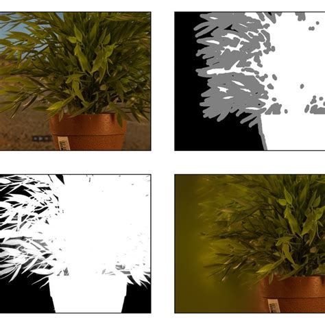 Input Image Top Left And Input Trimap Top Right Are Used To