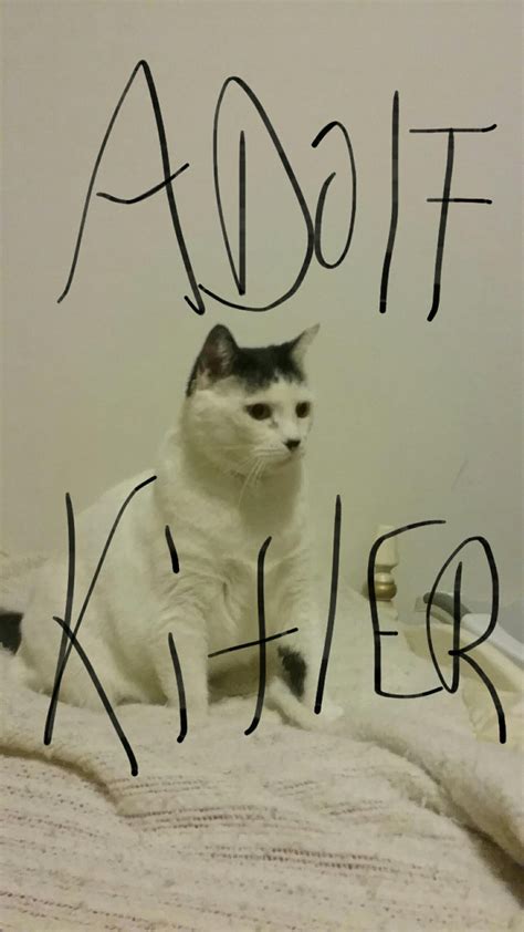 Unexpected Kitler Rkitler Unexpected Kitler Rkitler