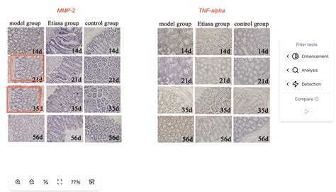 image duplication detection reviewerzero ai