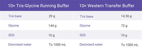 Western Blot Buffer Recipe