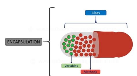 Cs 441 Chapter 10 Data Abstraction And Object Orientation Flashcards