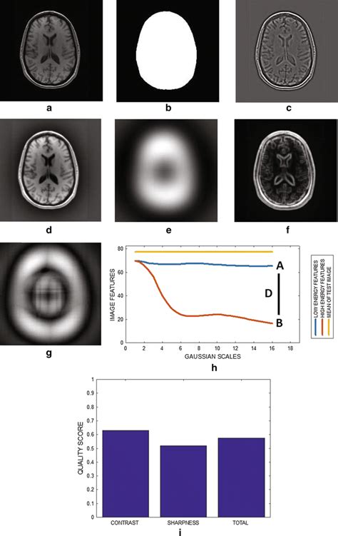 The Implementation Of Blind Blur Assessment In Mri Images A The Test Download Scientific