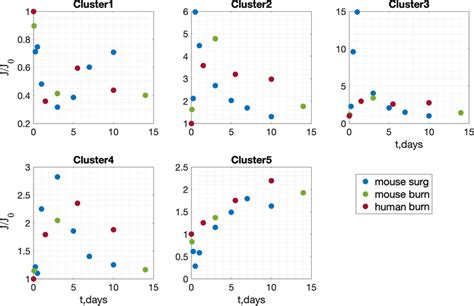 Normalized Mean Cluster Value Jj0 Dynamics In Three Wound Datasets