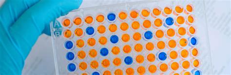 Enzyme Activity Assays Institute Krems Bioanalytics