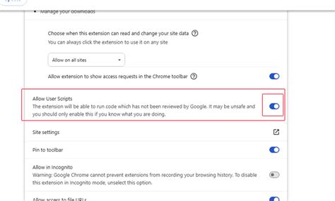 Enable Browser User Scripts Support Scriptcat