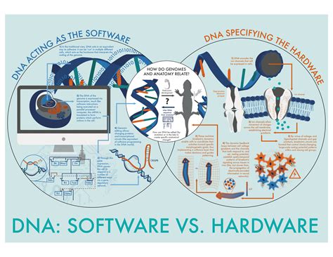 Audio Visual Section The Node